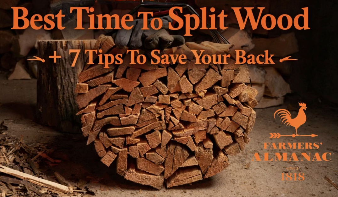 Why This Week Is The Best Time To Split Wood + 7 Tips To Save Your Back ...