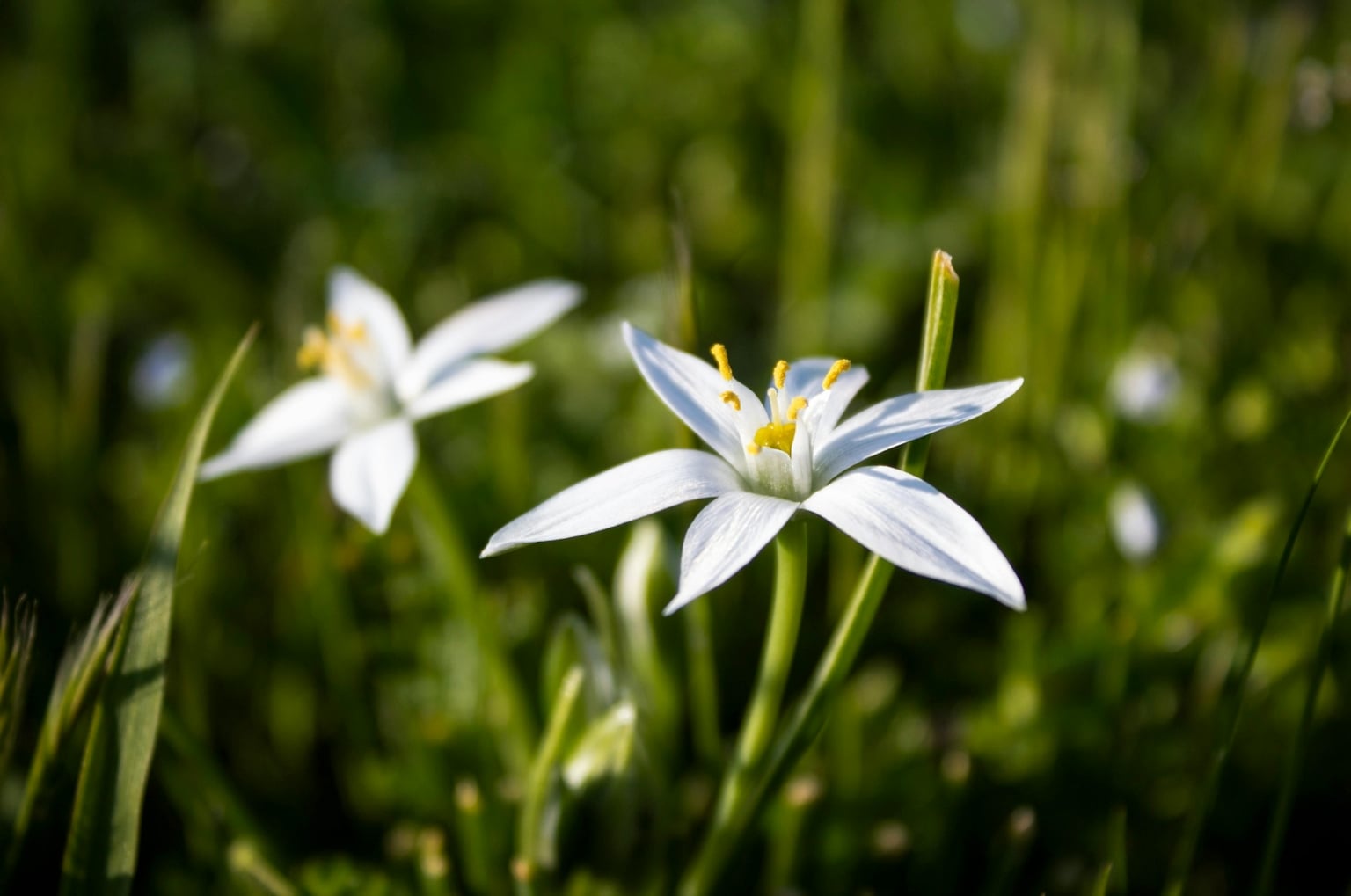Farmers' Almanac Spring 2026 Forecast - Farmers' Almanac - Plan Your ...