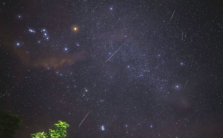 July 2026: Full Buck Moon, Summer Gardens, Meteor Showers, and ...