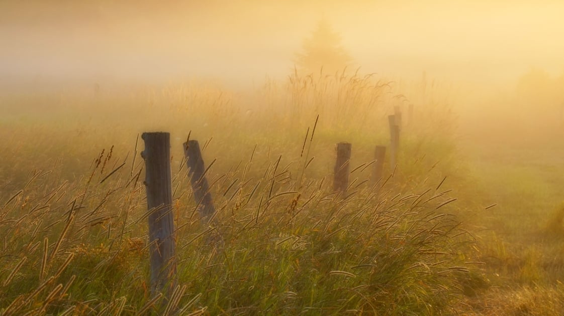 August Fog and Winter Snow: The Old Folklore Behind “Beans in a Jar ...